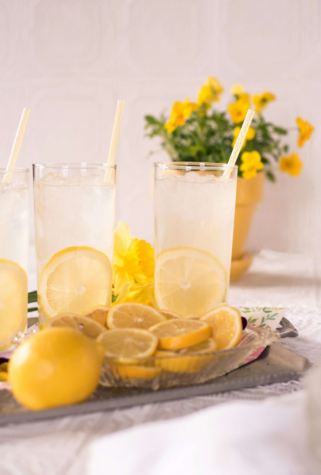 Top 20 Low Sugar Drinks For Better Health | The Oncology Dietitian