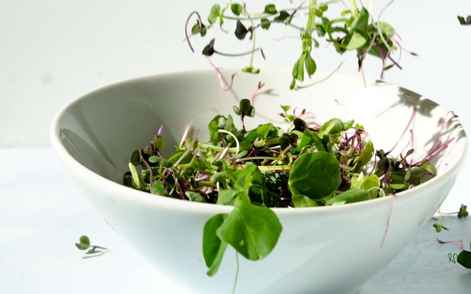 Blog | The Oncology Dietitian | Nichole Andrews RDN ... Blog | The Oncology Dietitian | Nichole Andrews RDN ...