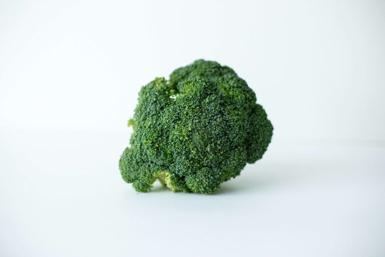 Blog | The Oncology Dietitian | Nichole Andrews RDN ... Blog | The Oncology Dietitian | Nichole Andrews RDN ...